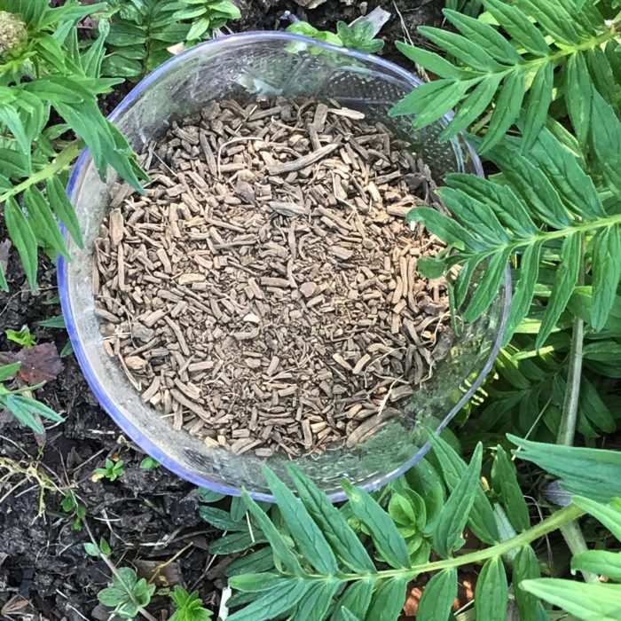 Growing Valerian: Taking Root in the Garden - Countryside